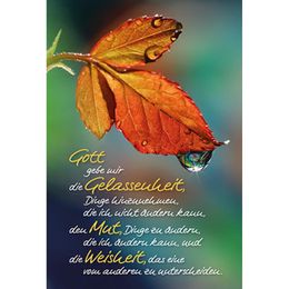 Gott gebe mir die Gelassenheit