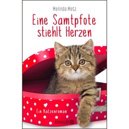 Eine Samtpfote stiehlt Herzen