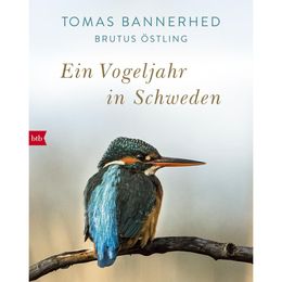 Ein Vogeljahr in Schweden