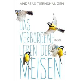 Das verborgene Leben der Meisen