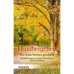 Hin&uuml;bergehen
