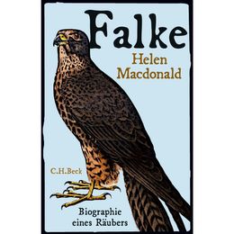 Falke