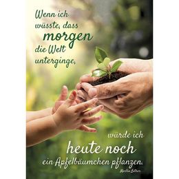 Wenn ich w&uuml;sste