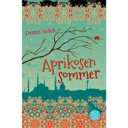 Aprikosensommer