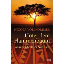 Unter dem Flammenbaum