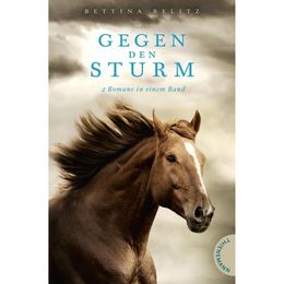 Gegen den Sturm
