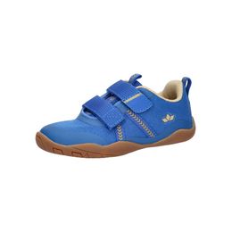 Lico First-Step Shoes 'Aride V' boy Blue size 34
