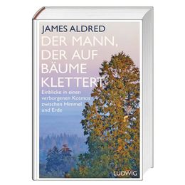Der Mann der auf B&auml;ume klettert