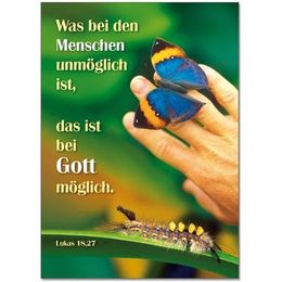 Was bei den Menschen unm&ouml;glich ist