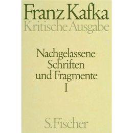 Nachgelassene Schriften und Fragmente I. Kritische Ausgabe