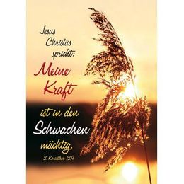 Jesus Christus spricht: Meine Kraft