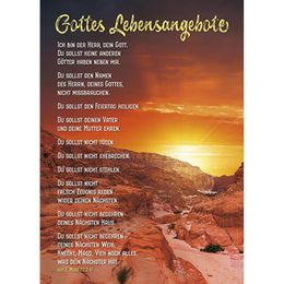 Gottes Lebensangebote