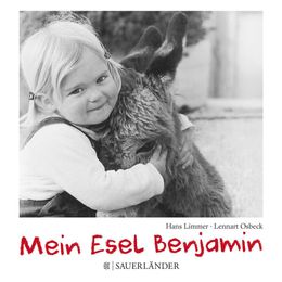 Mein Esel Benjamin