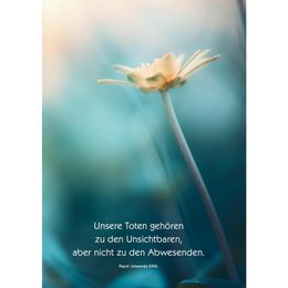 Trauerkarte - Unsere Toten geh&ouml;ren... (6 St&uuml;ck)