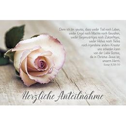 Herzliche Anteilnahme