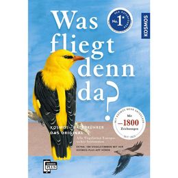 Was fliegt denn da