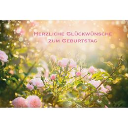 Gl&uuml;ckwunschkarte - Herzliche Gl&uuml;ckw&uuml;nsche zum Geburtstag (6 St&uuml;ck)