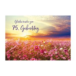 Gl&uuml;ckwunschkarte - Gl&uuml;ckw&uuml;nsche zum 75. Geburtstag (6 St&uuml;ck)