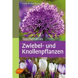 Taschenatlas Zwiebel- und Knollenpflanzen