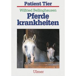 Pferdekrankheiten