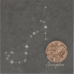 Skorpion franz&ouml;sisch (1 St&uuml;ck)