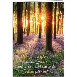 Lobe den Herrn, meine Seele