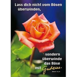 Lass dich nicht vom B&ouml;sen &uuml;berwinden