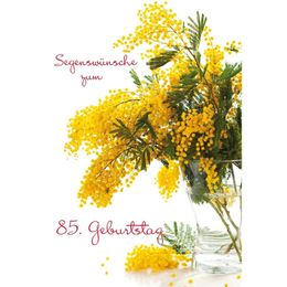 Gl&uuml;ckwunschkarte - Segensw&uuml;nsche zum 85. Geburtstag (6 St&uuml;ck)