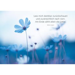 Trauerkarte - Lasst mich dankbar zur&uuml;ckschauen... (6 St&uuml;ck)