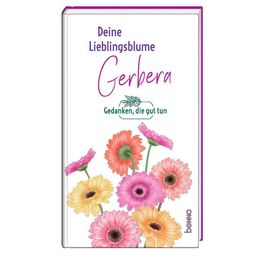 Deine Lieblingsblume &ndash; Gerbera