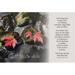 Gott bringe dein krankes Herz