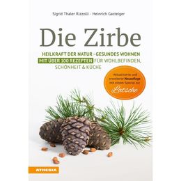 Die Zirbe