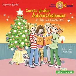 Silberfisch Connis gro&szlig;er Adventskalender