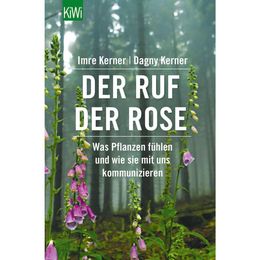 Der Ruf der Rose