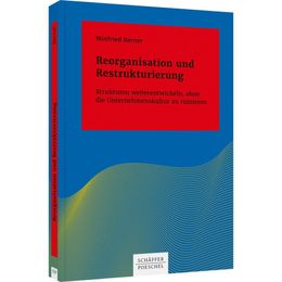Reorganisation und Restrukturierung