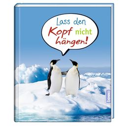 Lass den Kopf nicht h&auml;ngen!