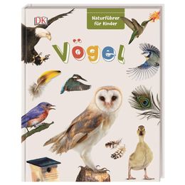Dorling Kindersley Naturf&uuml;hrer f&uuml;r Kinder. V&ouml;gel