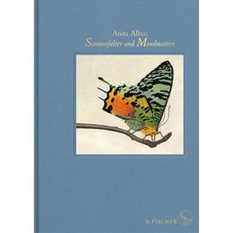 Sonnenfalter und Mondmotten