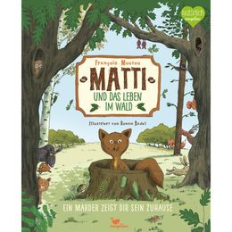 Matti und das Leben im Wald - Ein Marder zeigt dir sein Zuhause