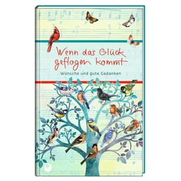 Wenn das Gl&uuml;ck geflogen kommt