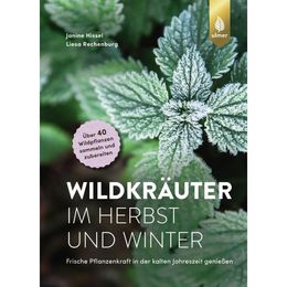 Wildkr&auml;uter im Herbst und Winter
