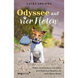 Odyssee auf vier Pfoten