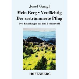 Hofenberg Mein Berg / Verd&auml;chtig / Der zertr&uuml;mmerte Pflug