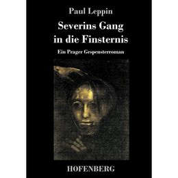 Hofenberg Severins Gang in die Finsternis