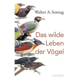 Das wilde Leben der V&ouml;gel
