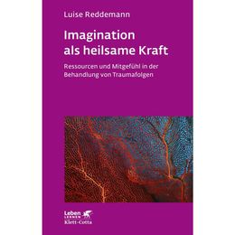 Imagination als heilsame Kraft (Imagination als heilsame Kraft. Zur Behandlung v...