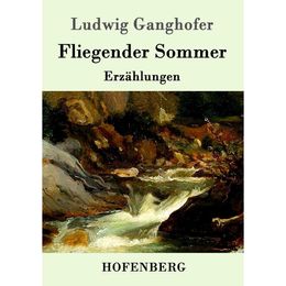 Hofenberg Fliegender Sommer
