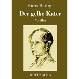 Hofenberg Der gelbe Kater