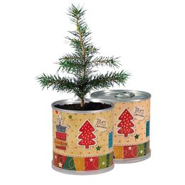 Dosenblume &raquo;Weihnachtsb&auml;umchen&laquo;