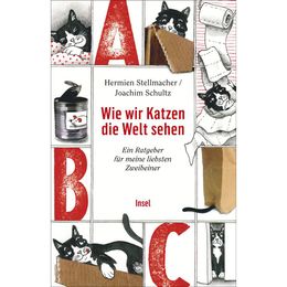 Wie wir Katzen die Welt sehen